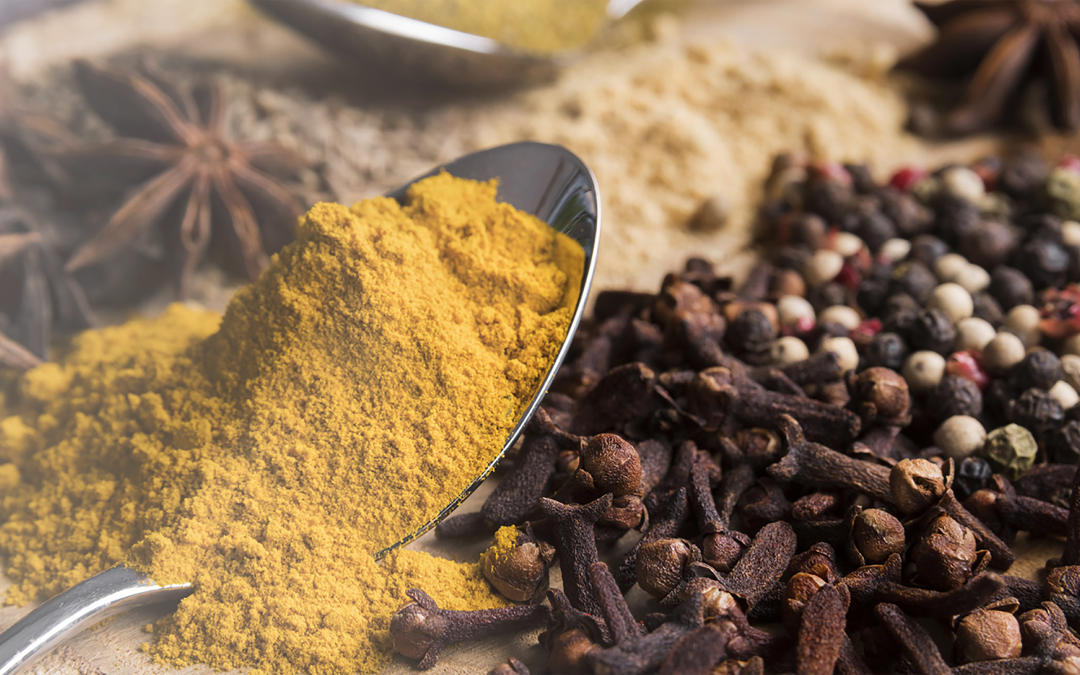 Nos activités | HABIBO Group